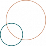 Blueprint 15 | A non-profit revitalizing the historic 15th Ward